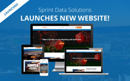 Sprint Data Solutions Worldwide Marketing's Redesigned Website