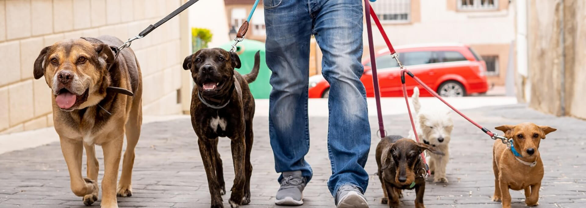 HUND Denmark | Social Media Marketing by SmartSites